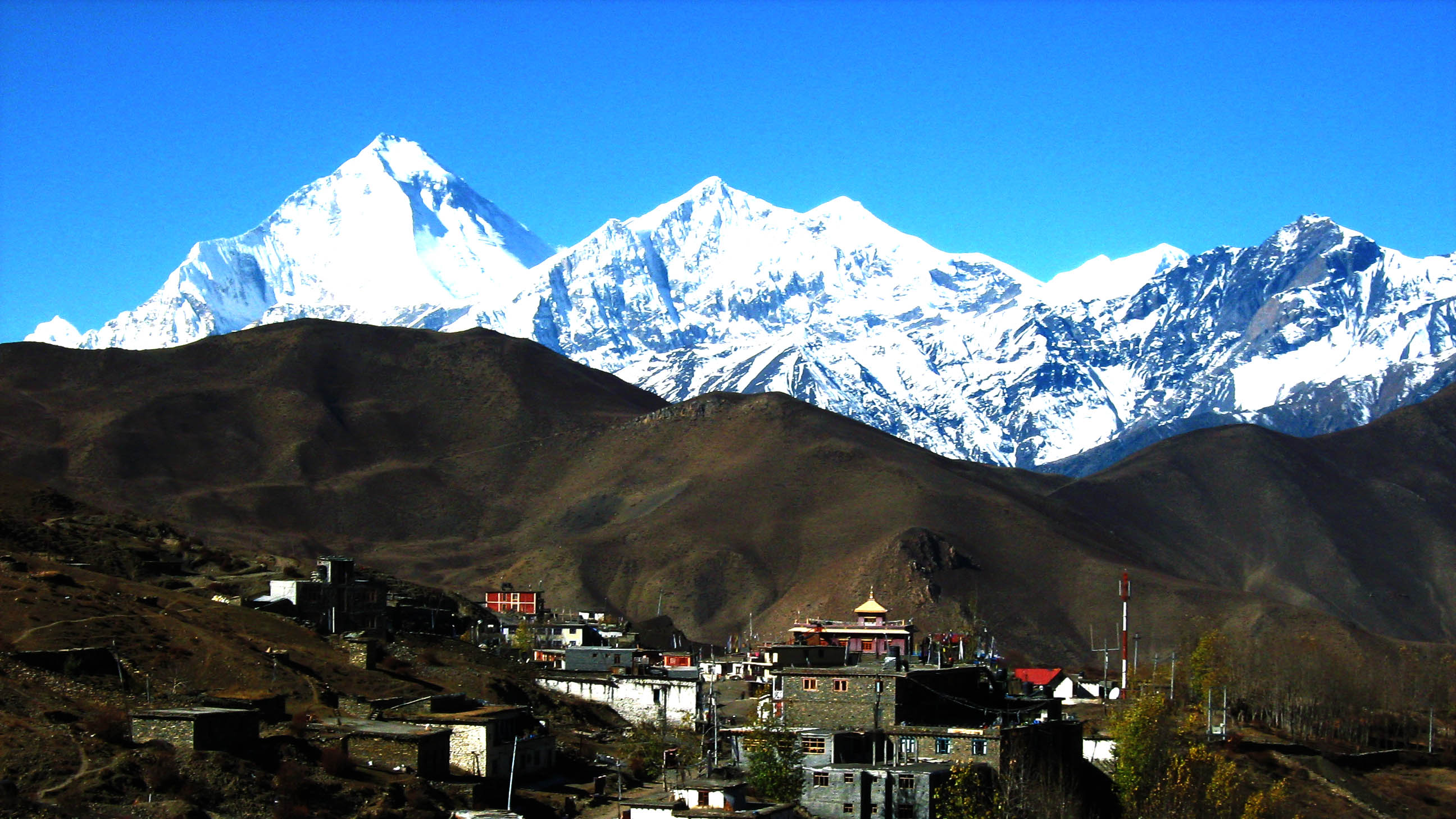 Mount Frey Expedition (5859 M)